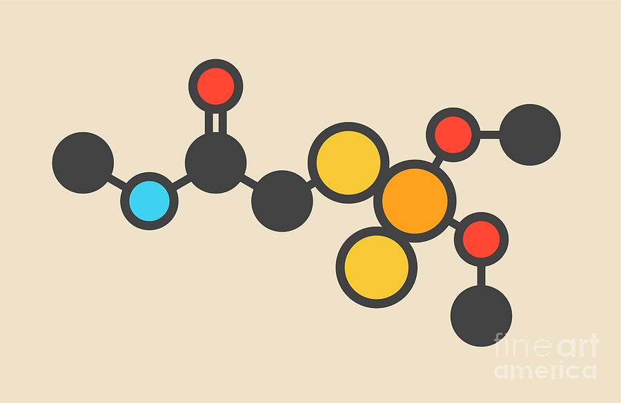 Dimethoate Insecticide Molecule #1 by Science Photo Library