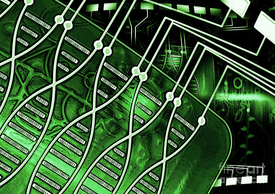 Dna Computing #1 by Science Photo Library