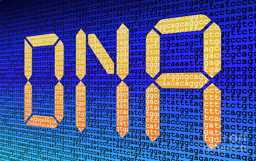 Dna Lettering #1 by Science Photo Library