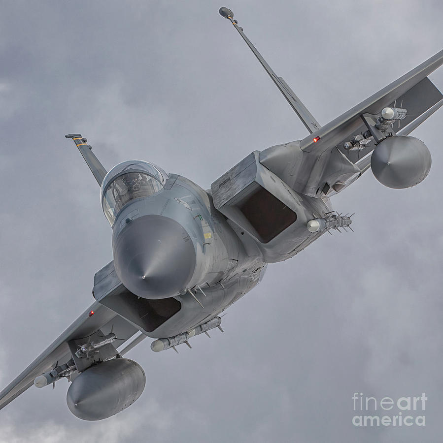 Eagle 4 Photograph by Gary Stray | Fine Art America