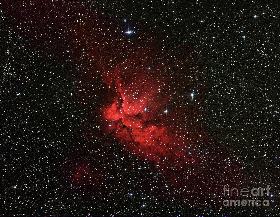 Emission Nebula Sh2-142 Photograph by Robert Gendler/science Photo Library - Fine Art America