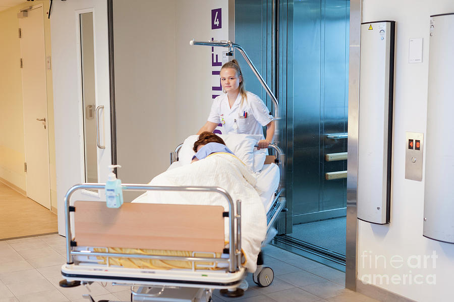 Hospital Ward #1 by Science Photo Library