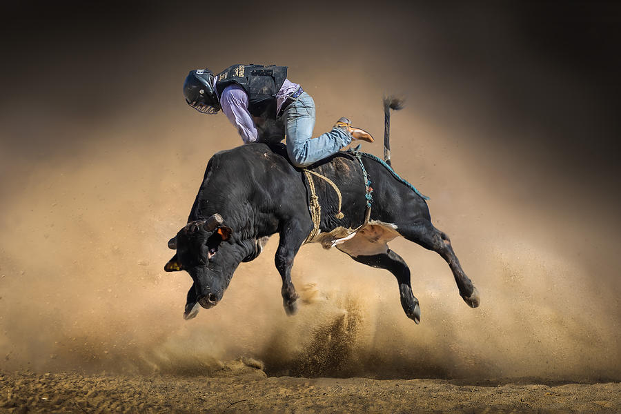 In Control Photograph by Irene Wu - Fine Art America