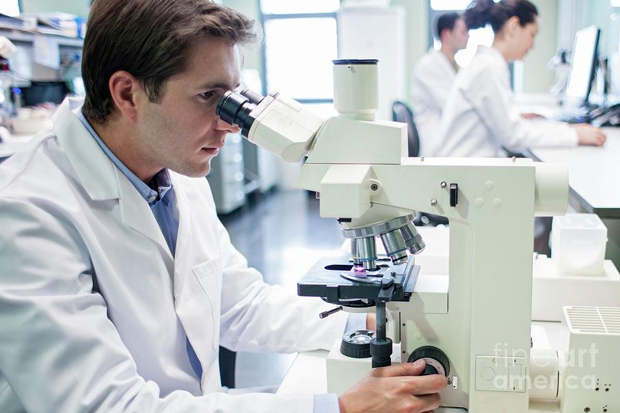 Lab Assistant Using Microscope Photograph by Science Photo Library - Pixels