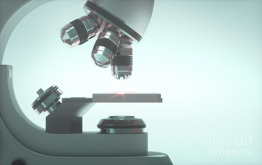 Light Microscope Photograph by Ktsdesign/sciencephotolibrary - Pixels