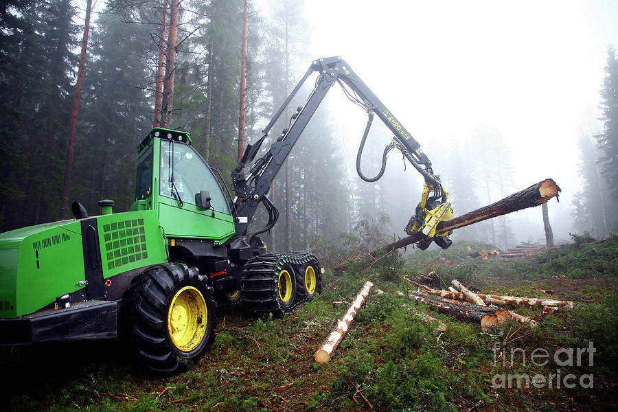Logging #1 by Science Photo Library