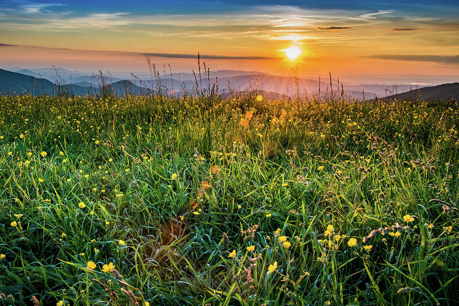 Max Patch Mountain #1 Photograph by David Simchock - Fine Art America