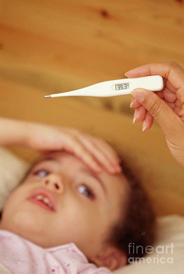 Measuring Oral Temperature Photograph By Paul Whitehill Science Photo
