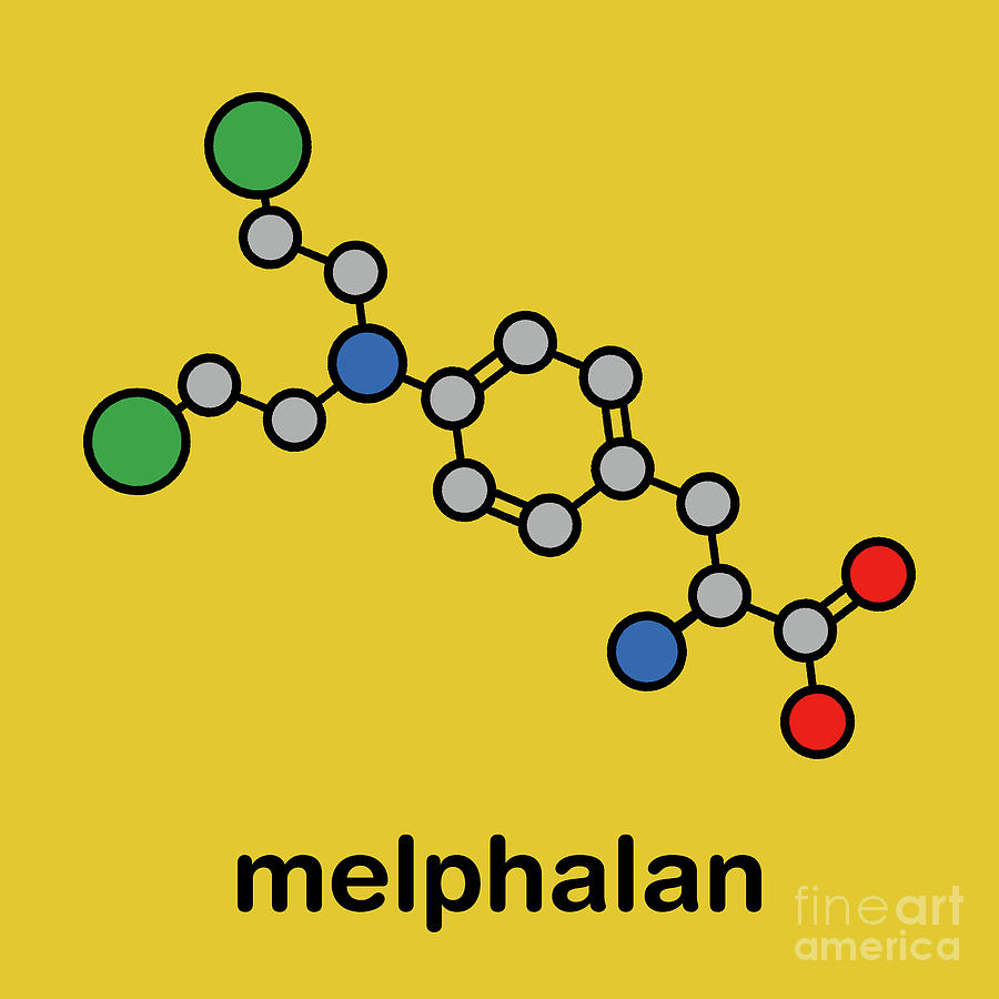 Melphalan Cancer Drug Molecule #1 by Science Photo Library