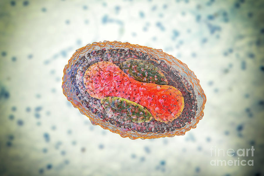 Molluscum Contagiosum Virus Photograph by Kateryna Kon/science Photo Library - Pixels