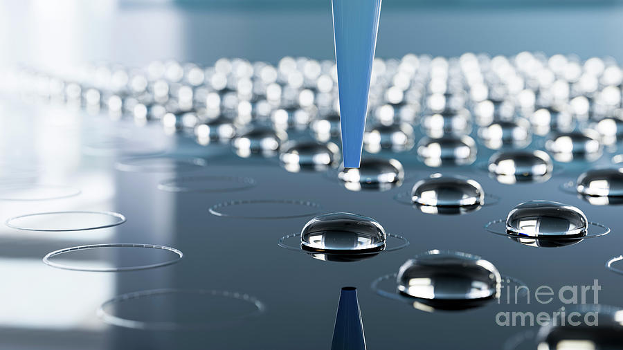 Samples On A Microarray Photograph by Thom Leach / Science Photo ...