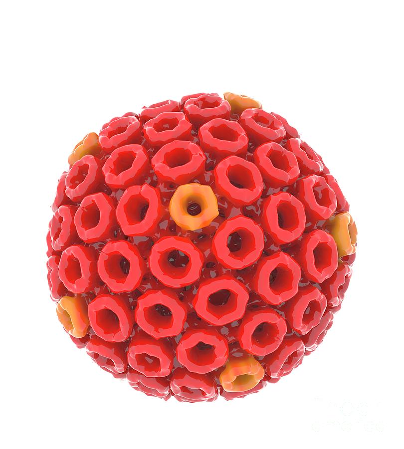 Sfts Virus Particle #1 by Science Photo Library