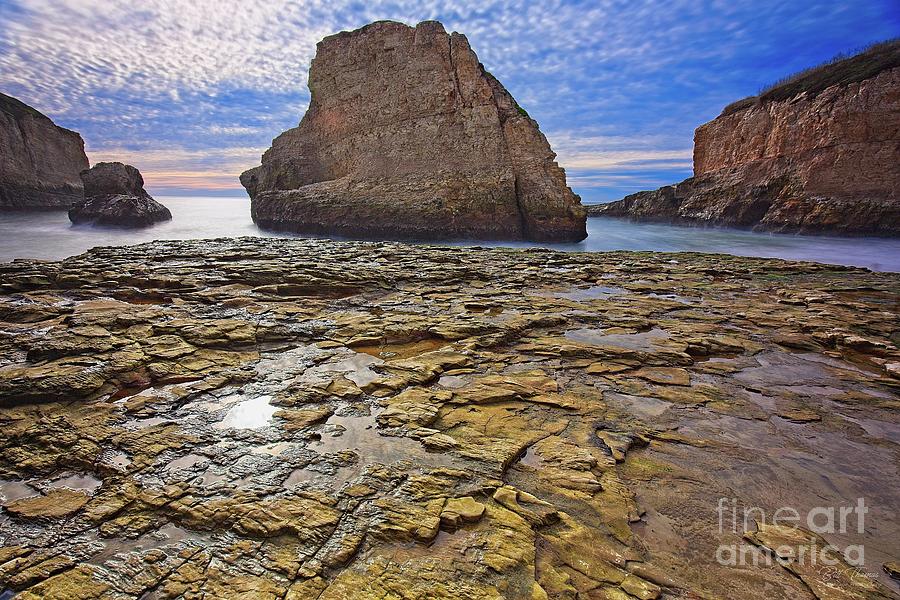 Shark Fin Cove Photograph by Bill Thomas | Fine Art America