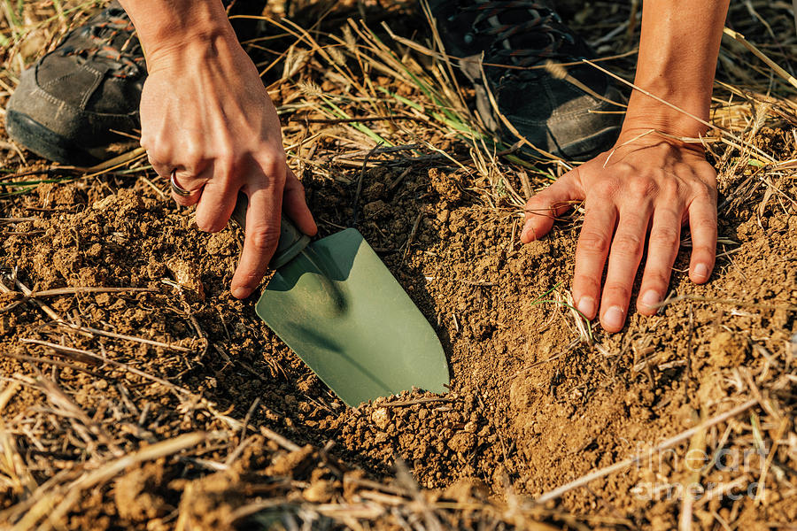 Soil Scientist Taking Soil Sample Photograph by Microgen Images/science ...