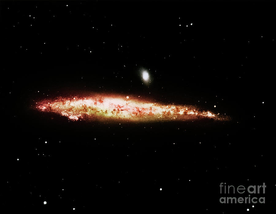 Spiral Galaxy Ngc 4631 #1 by Science Photo Library