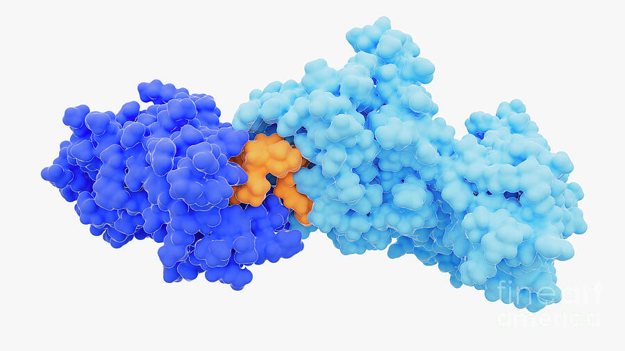 Targeted Protein Degrader #1 by Thom Leach / Science Photo Library