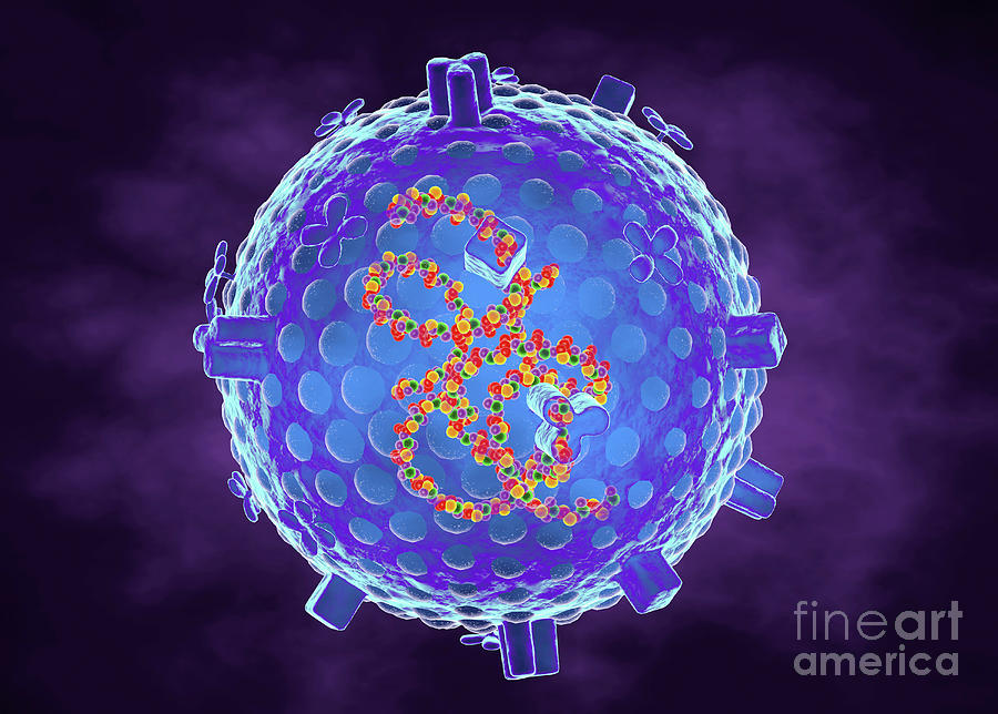 Thogotovirus Photograph by Roger Harris/science Photo Library | Pixels