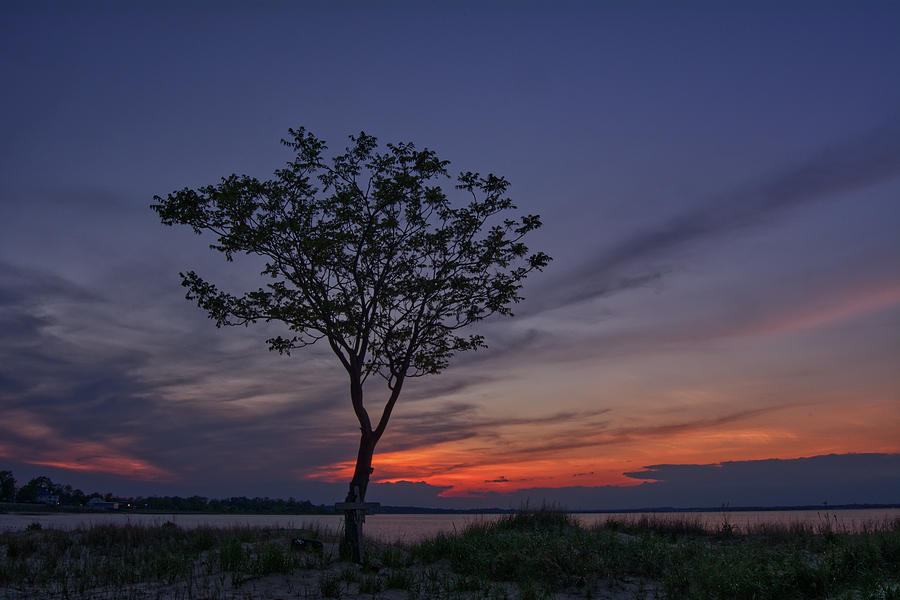 Tree at Sunset Photograph by Frank Morris - Fine Art America