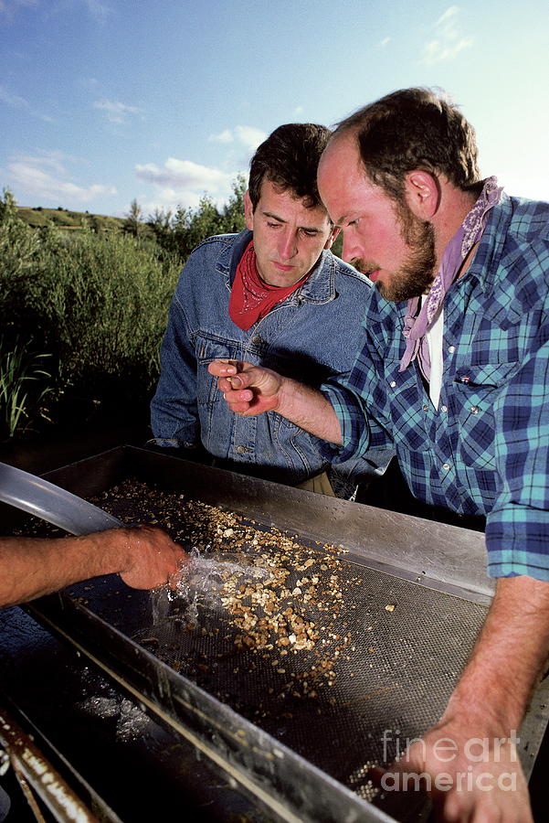Washing Table Photograph by Javier Trueba/msf/science Photo Library ...