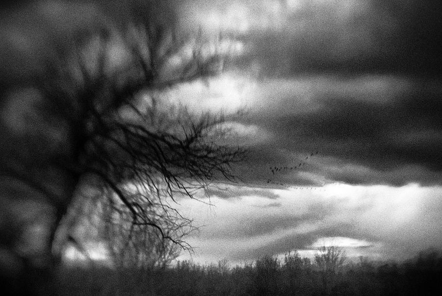 Photograph by Codrin Lupei