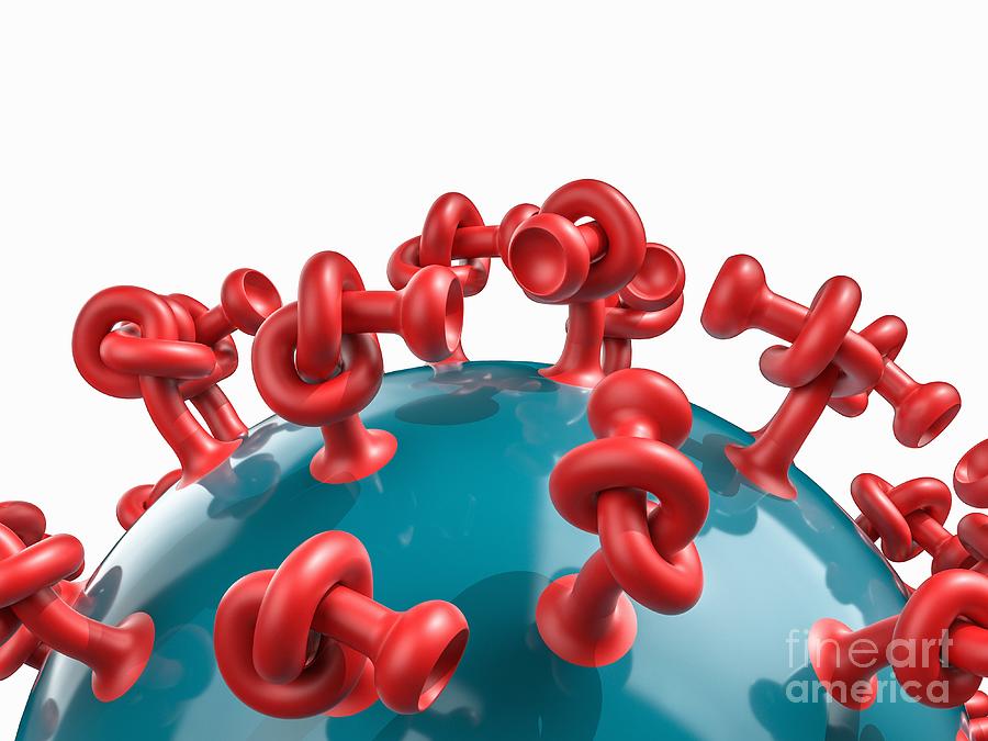 Neutralized Virus Capsid Photograph by Laguna Design/science Photo Library - Pixels