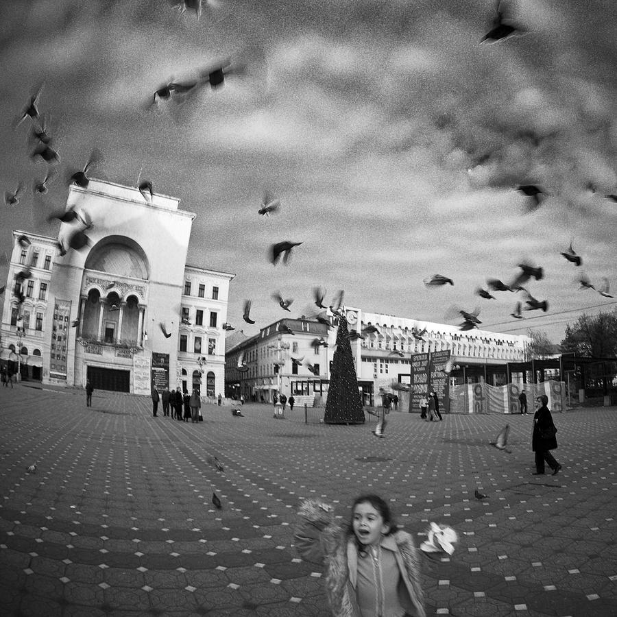 Photograph by Codrin Lupei - Fine Art America