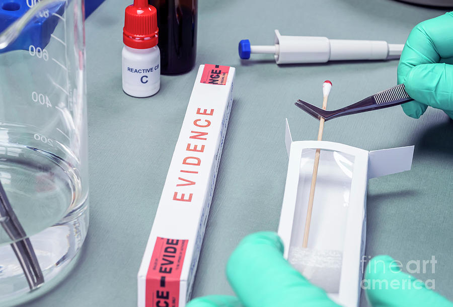 Blood Sample For Forensic Analysis Photograph by Digicomphoto/science ...