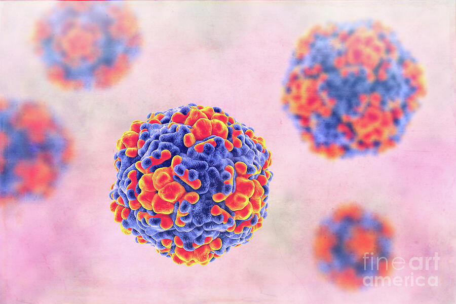 Echo Viruses #11 by Kateryna Kon/science Photo Library