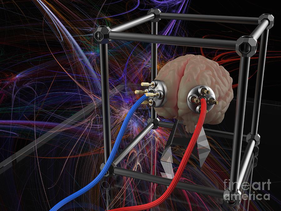 Brain-computer Interface Photograph by Laguna Design/science Photo ...