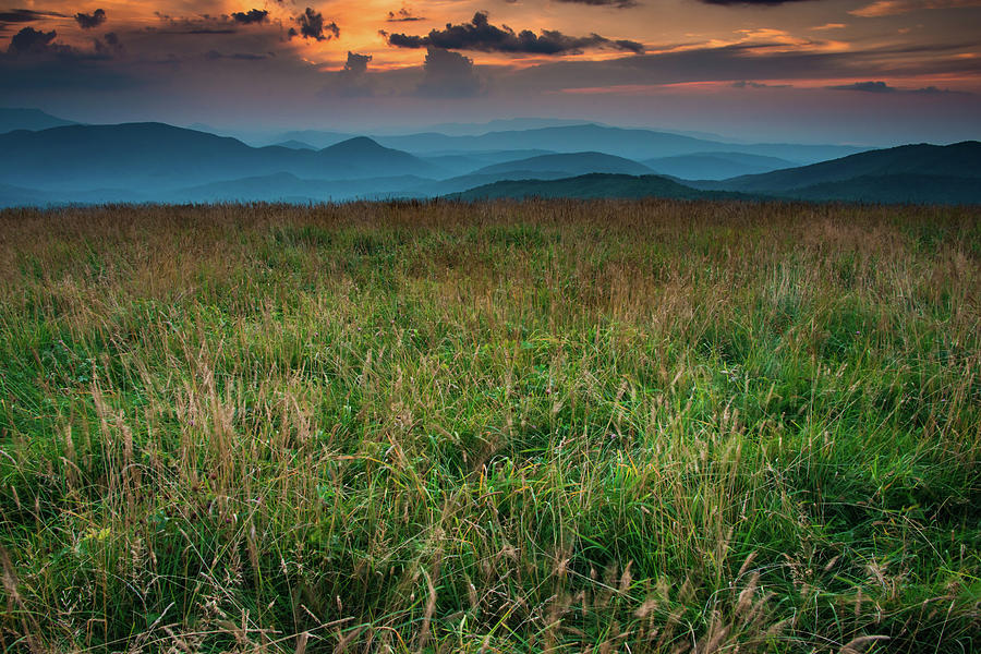 Max Patch Mountain Photograph by David Simchock - Fine Art America
