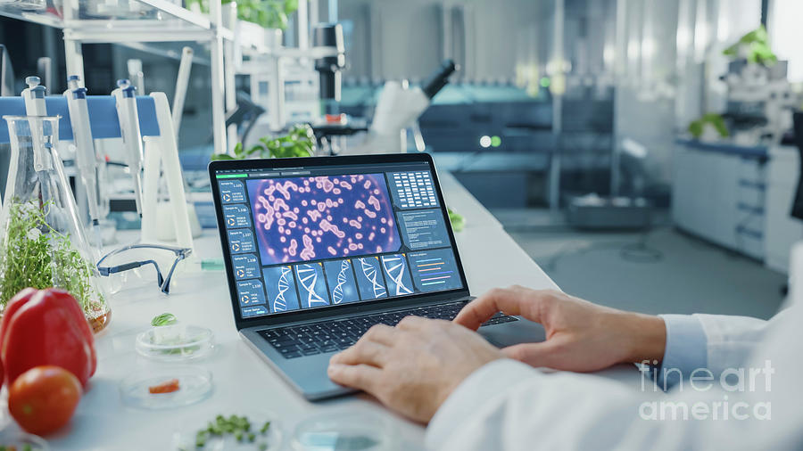 Scientist Working On A Laptop Computer Photograph by Gorodenkoff ...