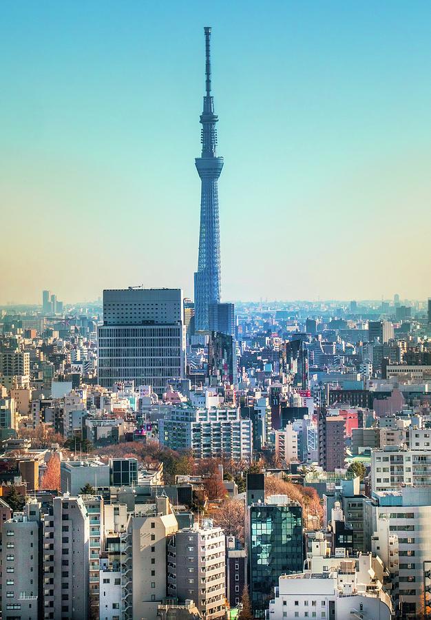 Japan Photograph by Jose Fuste Raga - Fine Art America