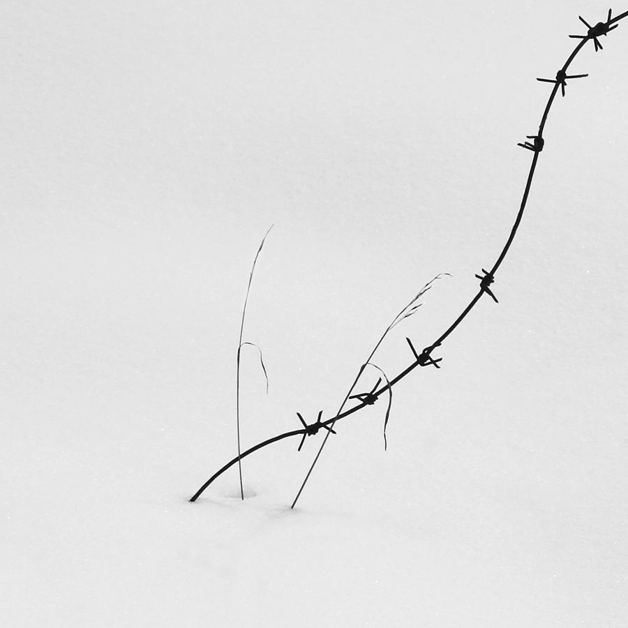 Dream Photograph by Mostafa Nodeh - Fine Art America