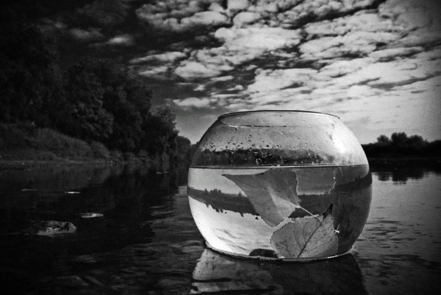 Photograph by Codrin Lupei - Fine Art America