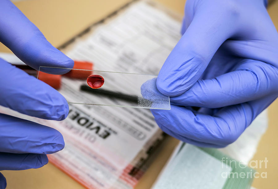 Blood Sample For Forensic Analysis Photograph by Digicomphoto/science ...