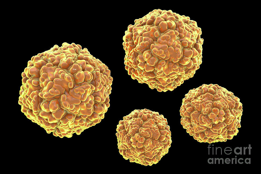 Echo Viruses #14 by Kateryna Kon/science Photo Library