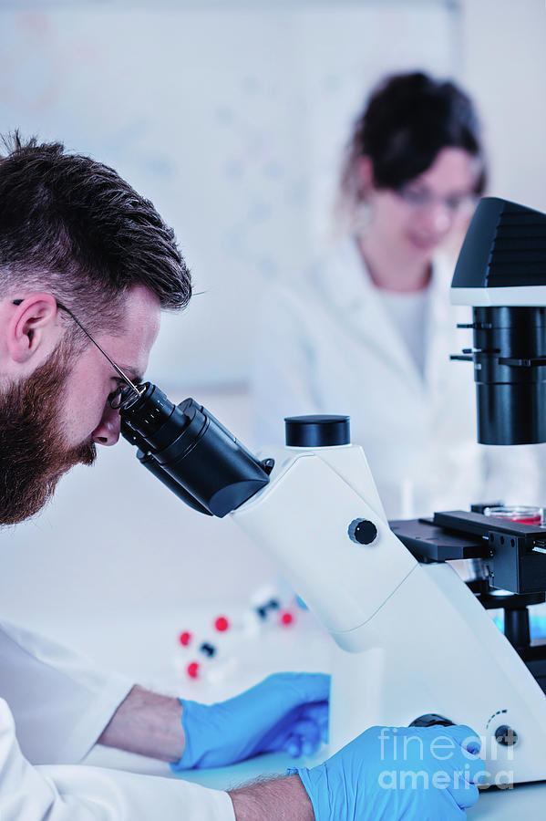 Scientist Using Microscope #14 by Science Photo Library
