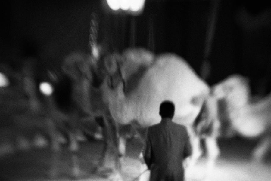 Photograph by Codrin Lupei - Fine Art America