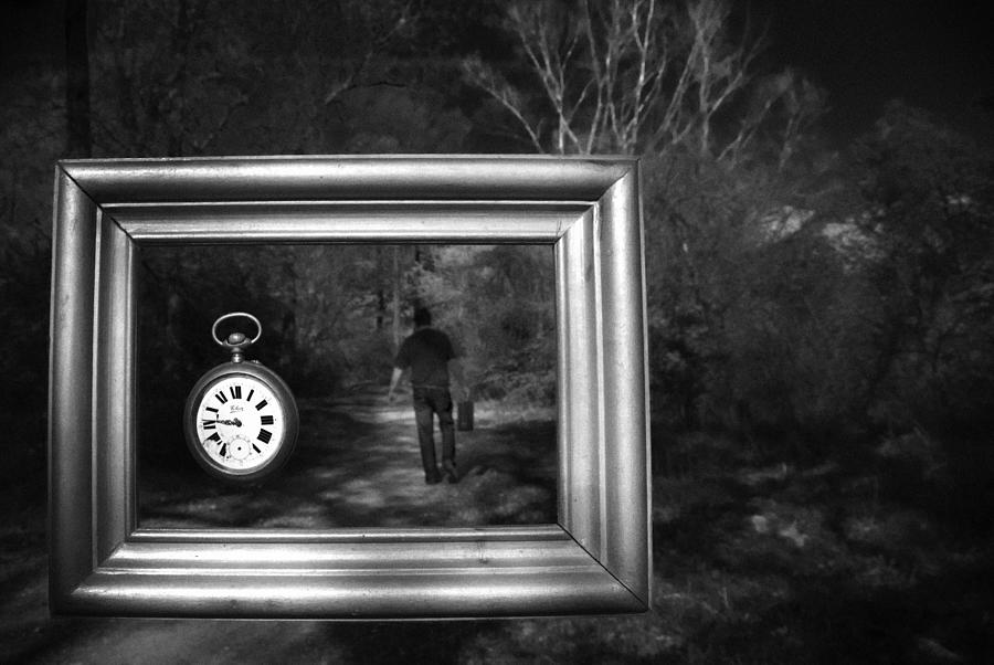 Photograph by Codrin Lupei | Fine Art America