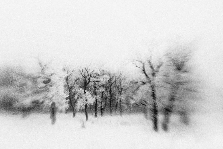 Photograph by Codrin Lupei - Fine Art America