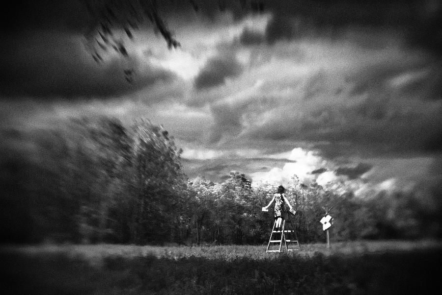 Photograph by Codrin Lupei - Fine Art America