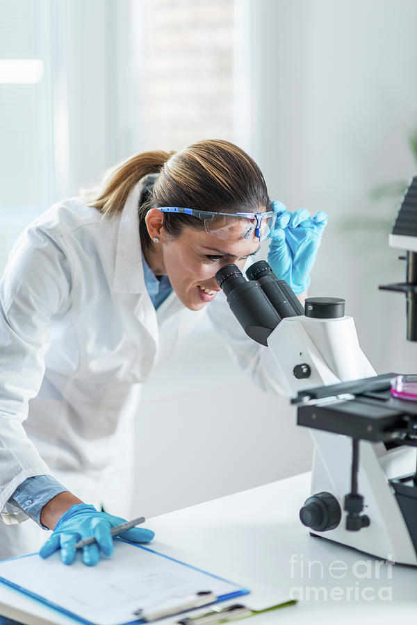 Scientist Using Light Microscope Photograph by Microgen Images/science ...