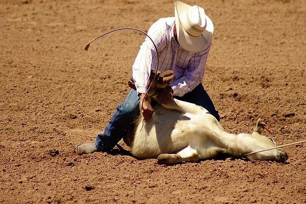 93rd Annual Gallup Inter-Tribal Indian Ceremonial Rodeo Photograph by ...