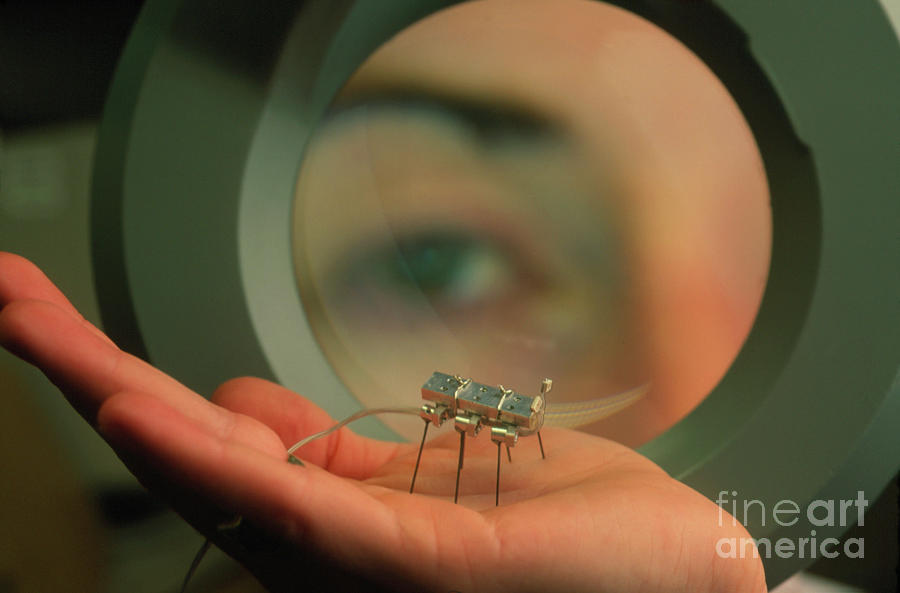 A Robot 'gnat' At The Mit Robotics Lab. Photograph by Peter Menzel ...