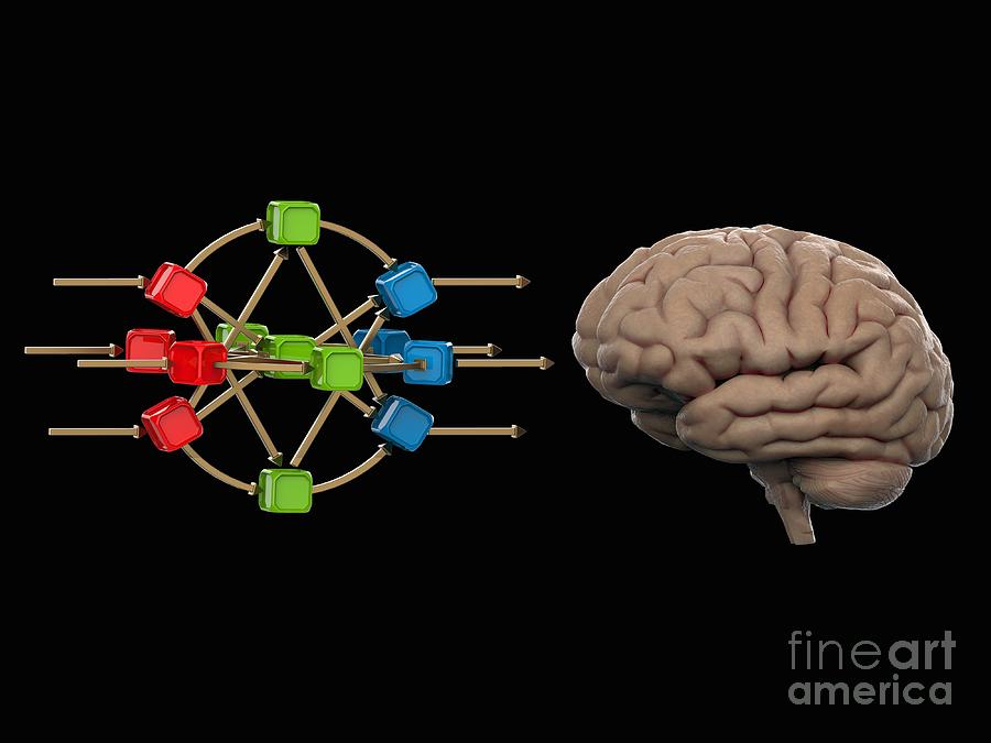 Brain With Artificial Neural Network Photograph by Laguna Design ...