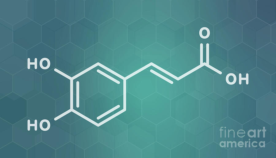 Caffeic Acid Molecule #2 Photograph by Molekuul/science Photo Library ...