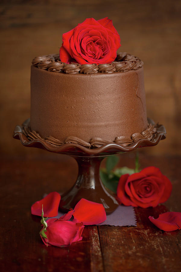 Chocolate Cake Photograph by Eising Studio - Fine Art America
