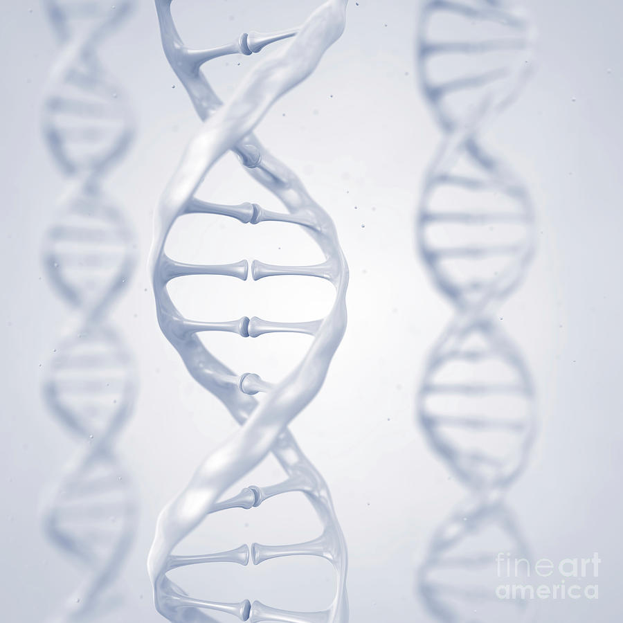 Dna Molecules #2 by Science Photo Library