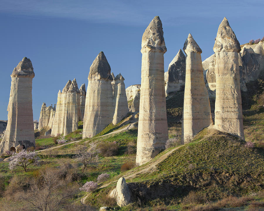 Fairy Chimney In The Valley Of Love, Tufa Erosion, Goereme National ...