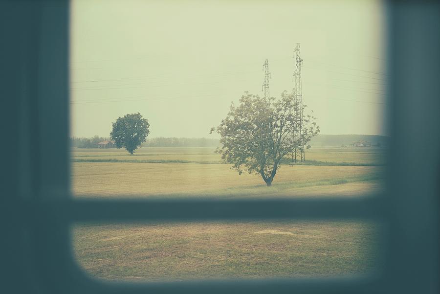 Field Landscape With Trees Photograph by Lluis Real - Fine Art America